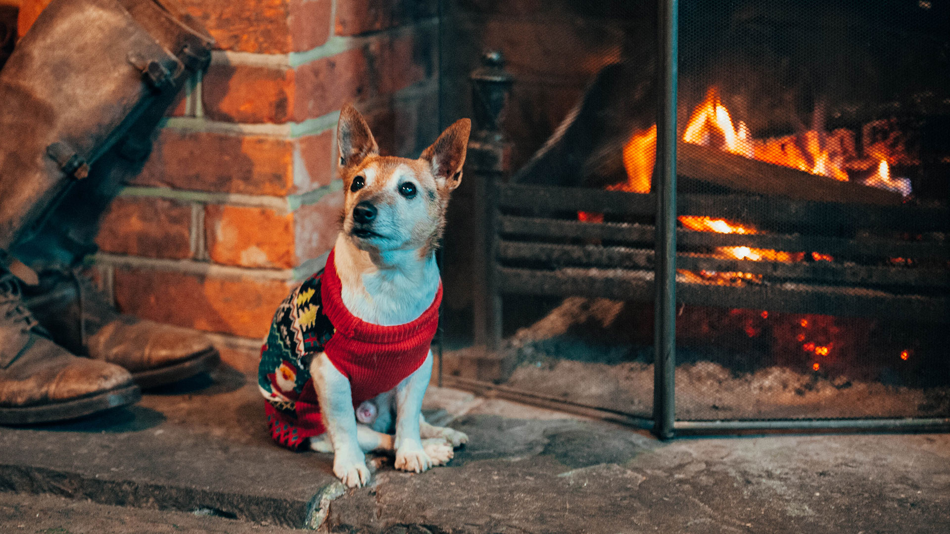 Home - Ash Farm Polo